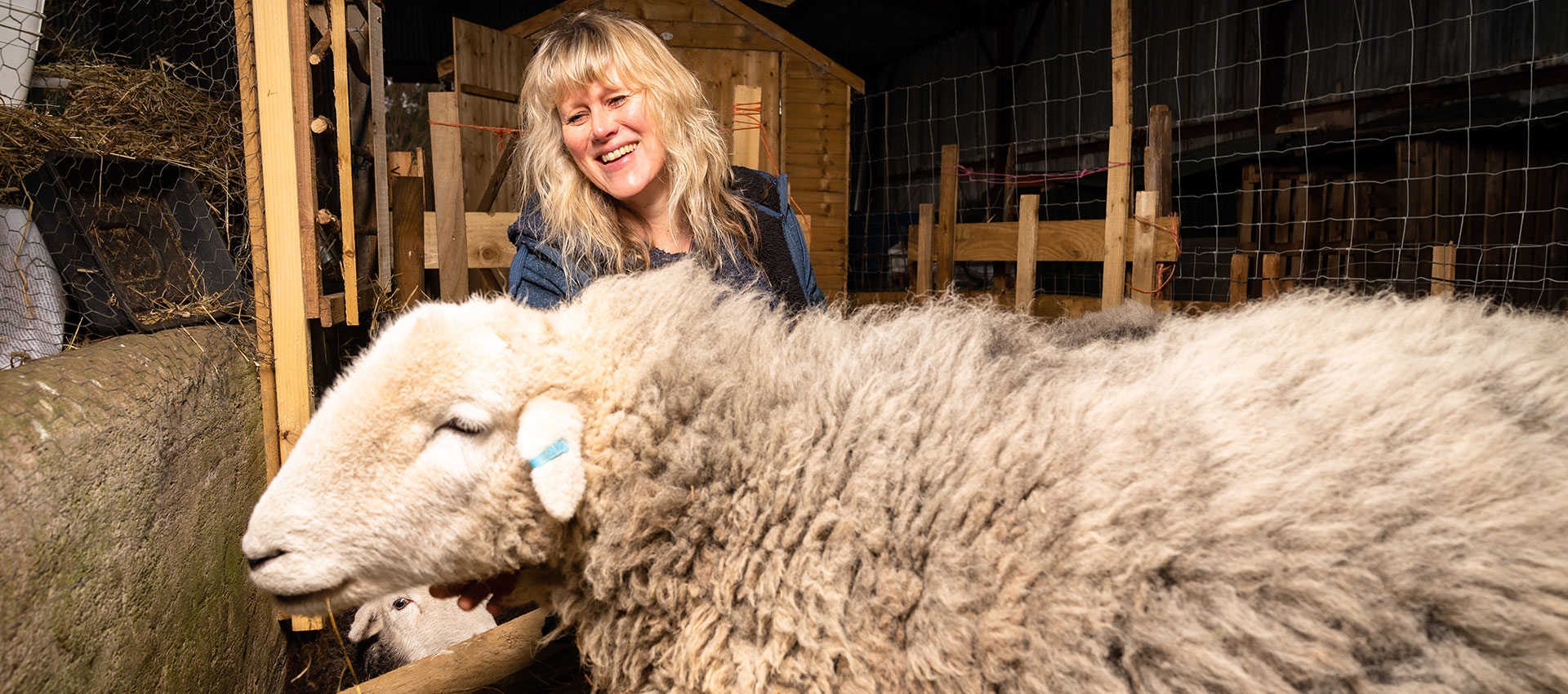 Guided Meditationwith Sleepy Sheep — Smile, connect and relax